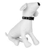 2 Pack of Classic Pet Comfy Adjustable Puppy Bone Dog Collar - Walmart.com