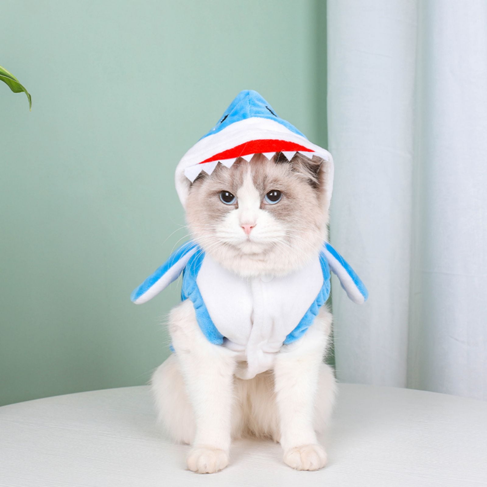 Shark Costume For Pets