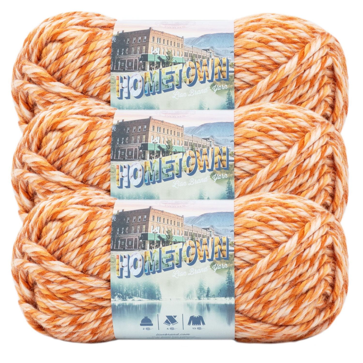 Lion Brand Hometown® Yarn #6 Super Bulky/ Chunky Yarn 142g/74 m 3-Pack ...