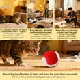 2026 New Upgrade Cat Toy, 360° Automatic Rolling Smart Pet Ball Toys ...