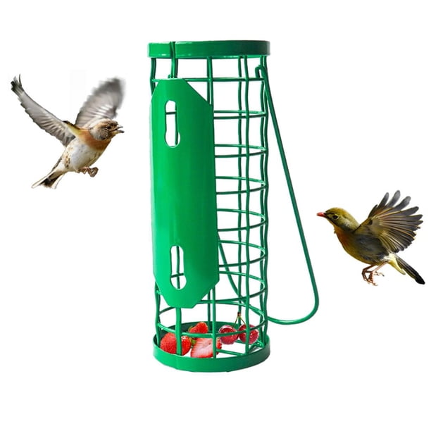 Langgg Metal Bird Feeder Hanging Wild Bird Feeder Bird Feeding Cage ...