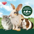 Kaytee Timothy Wafer Cut Hay for Rabbits, Guinea Pigs, Rats - High ...