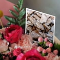 3drose, Pile of Grunge Concrete and Stone Rubble, 6 Greeting Cards with ...