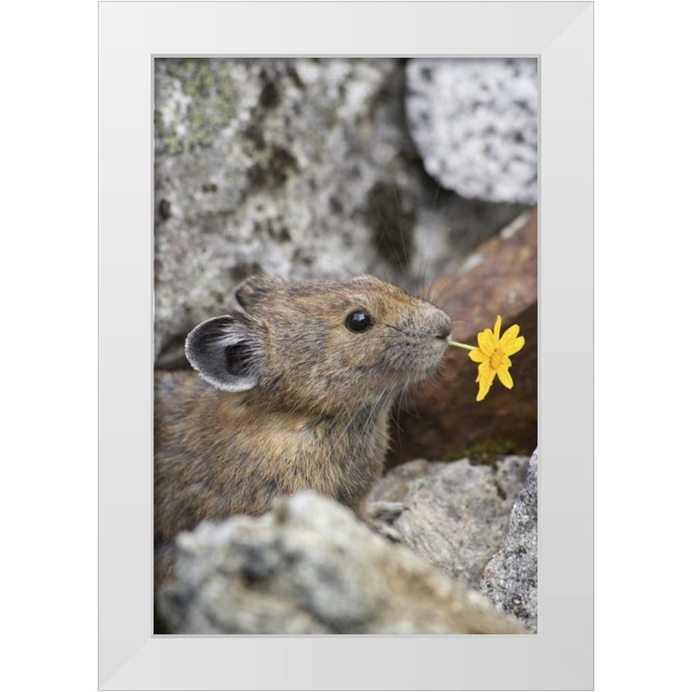 Paulson, Don 23x32 White Modern Wood Framed Museum Art Print Titled ...