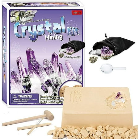 Digging Up Fossils Toy Diy Archaeological Excavation Kit Crystal Fossil ...