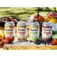 Humm Healthy Probiotic Soda Variety Pack, Diet-Friendly, Zero Sugar ...