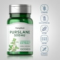 Piping Rock Purslane 500mg Supplement, 120 Capsules, Herb for Women and ...