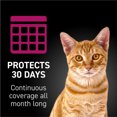 NEXTSTAR Flea & Tick Topical Prevention for Cats over 3.5 lbs, 3-Month ...