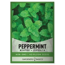 Seed Kingdom's Creeping Thyme Planting Seeds - 15,000 Bulk Great Garden ...