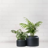 Porto Plant Pots - Matt Black Ceramic Jar Design Plant Pots Indoor ...
