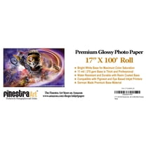 24" X 100' Premium Luster Inkjet Photo Paper - Roll - Walmart.com