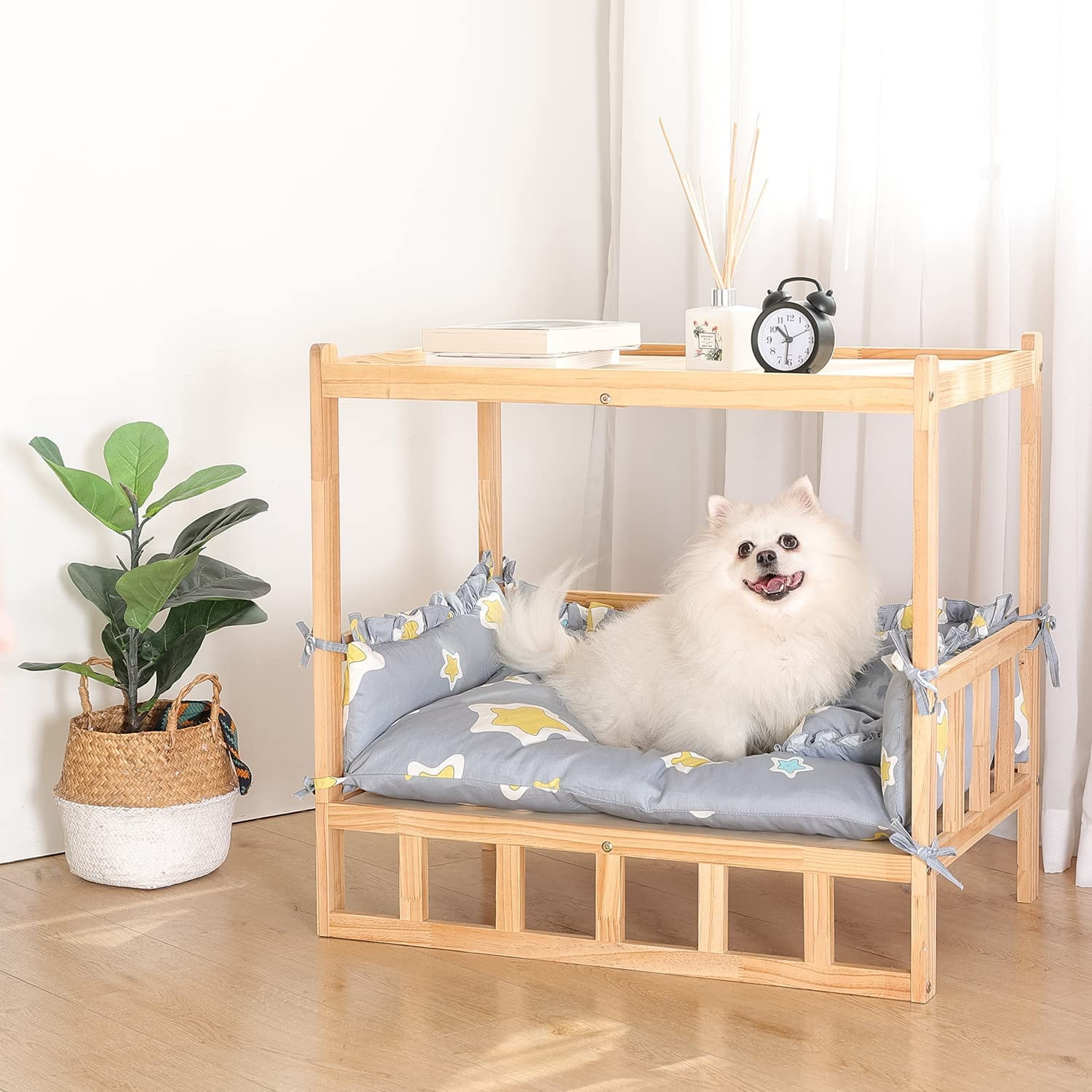 What Dog Can Weigh 200 Lbs