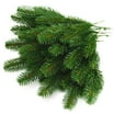 Gerson Snowy Ming Pine Garland with Drooping Branches and Pinecones ...