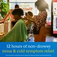 Aleve D Sinus And Cold Medicine 12 Hour Multi Symptom Relief Caplets 20 Count