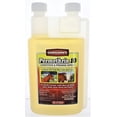 Gordon's 9291082 Permethrin 10 Livestock & Premise Insecticide Spray ...