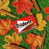 Trident Cinnamon Sugar Free Gum, 24 Packs of 28 Pieces (336 Total ...