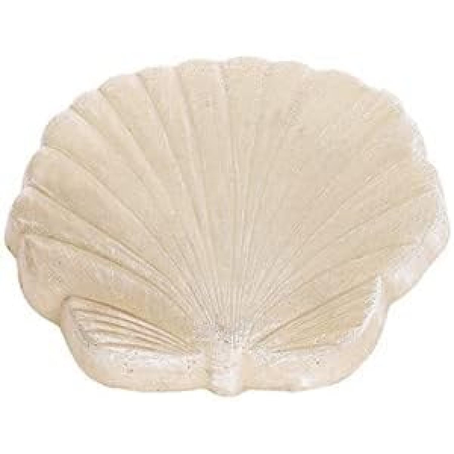 Solid Rock Stoneworks Shell Stepping Stone- Desert Sand, 2 h x 18 w x ...