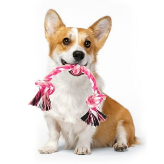 Vibrant Life Tough Buddy Farm Friends with Rope Dog Toys - Walmart.com