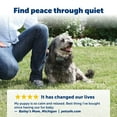 PetSafe Ultrasonic Dog Bark Control Collar for Small, Medium, and Large ...
