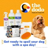The Dodo Hypoallergenic Dog Shampoo 16oz, Gentle on Sensitive Skin ...
