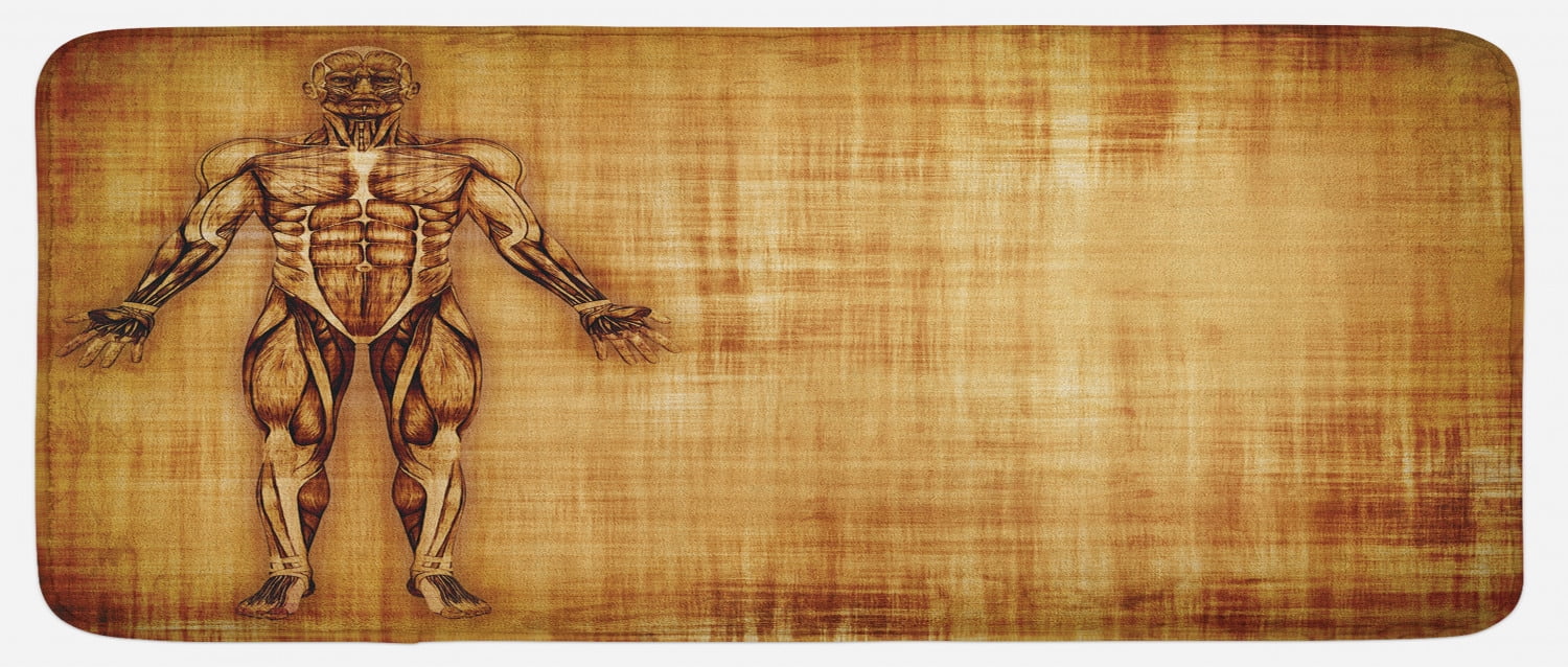 Human Anatomy Kitchen Mat, Grunge Old Parchment Effect Skeleton Muscles ...