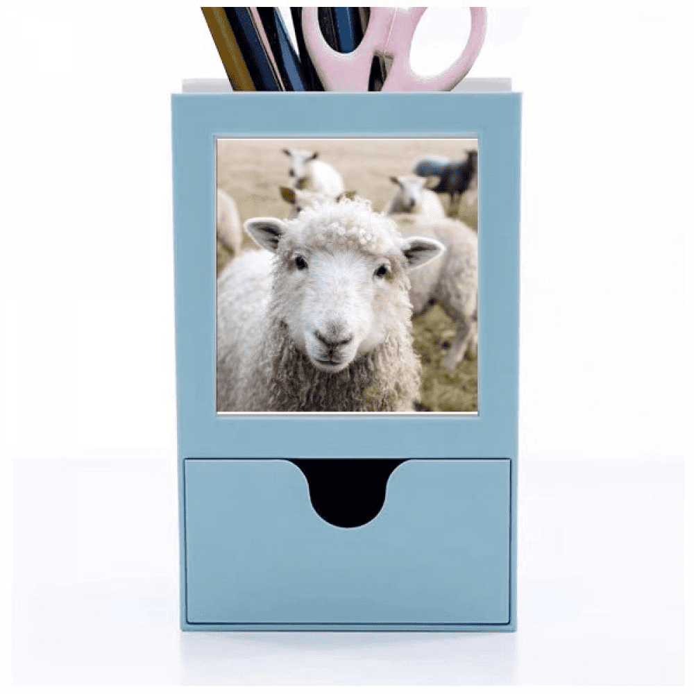 m Sheep Animal Picture Desk Supplies Organizer Pen Holder Card ...