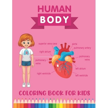 Human Anatomy Coloring Book for Kids : Human Body Coloring Sheets ...