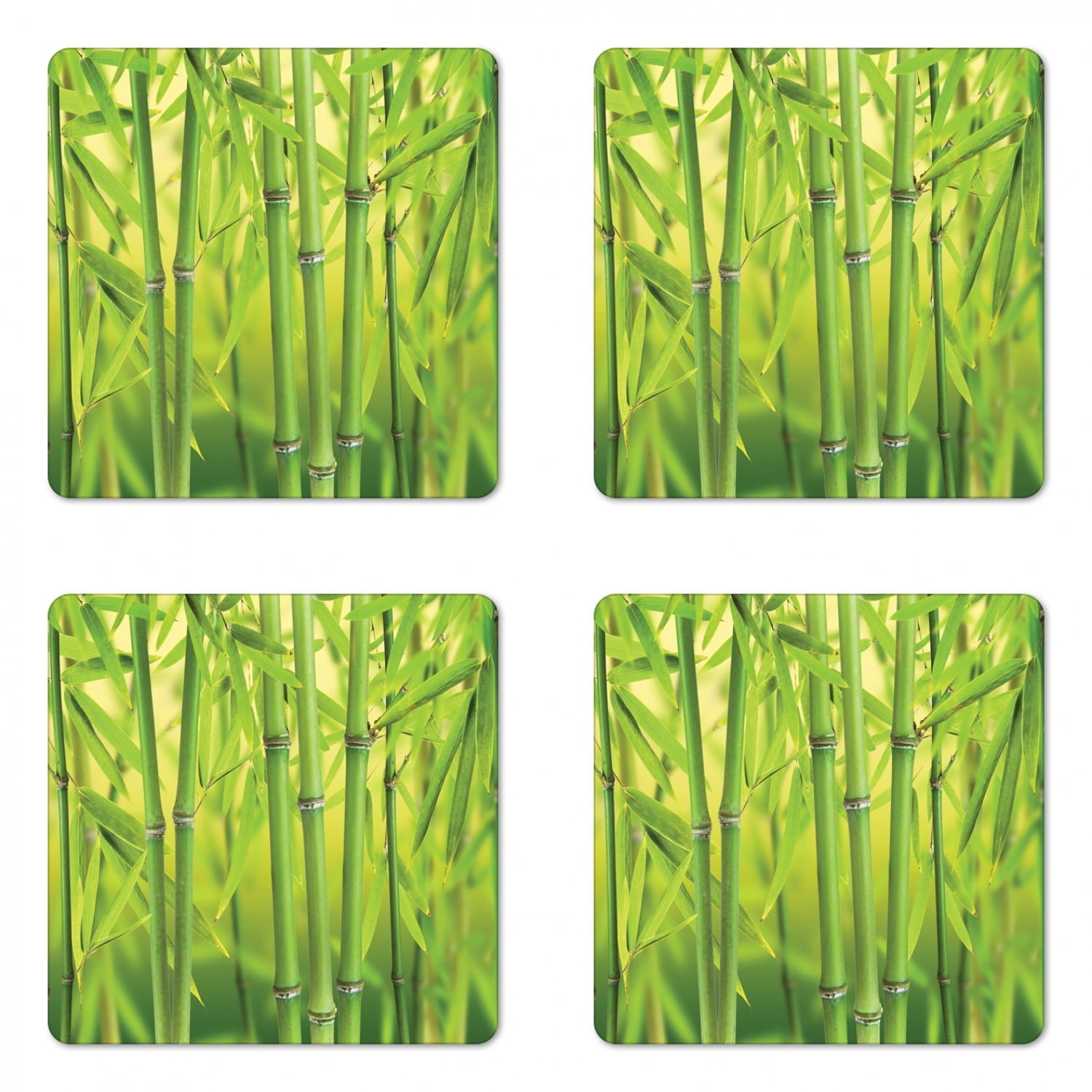 Bamboo Coaster Set of 4, Close up of Bamboo Sprouts Stems Nature in ...