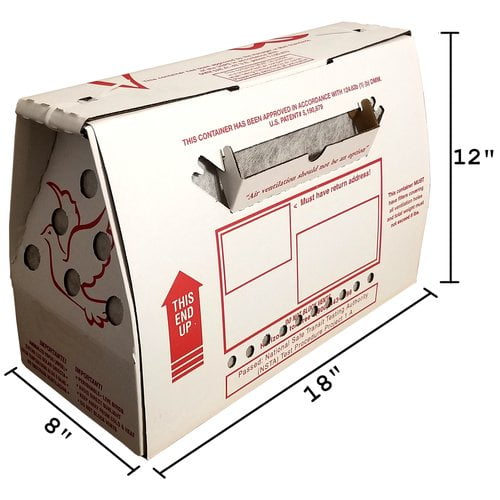 Chick Cardboard Shipping Boxes