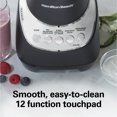 Hamilton Beach Quiet Glass Jar Blender, 48 oz. Jar, Stainless Steel ...