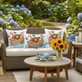 Animals Nautical Outdoor Pillow Covers 16x16 Inch Throw Pillow Covers ...