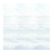 Beistle Winter Sky Christmas Wall Backdrop - 4' x 30' - Pack of 6 ...