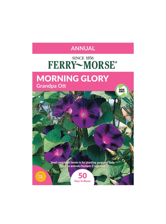 Morning Glory Flower Seeds in Seed Gardening - Walmart.com