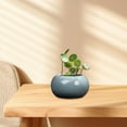 Artistic Smooth Hydroponic Container For Indoor Plant Organization ...