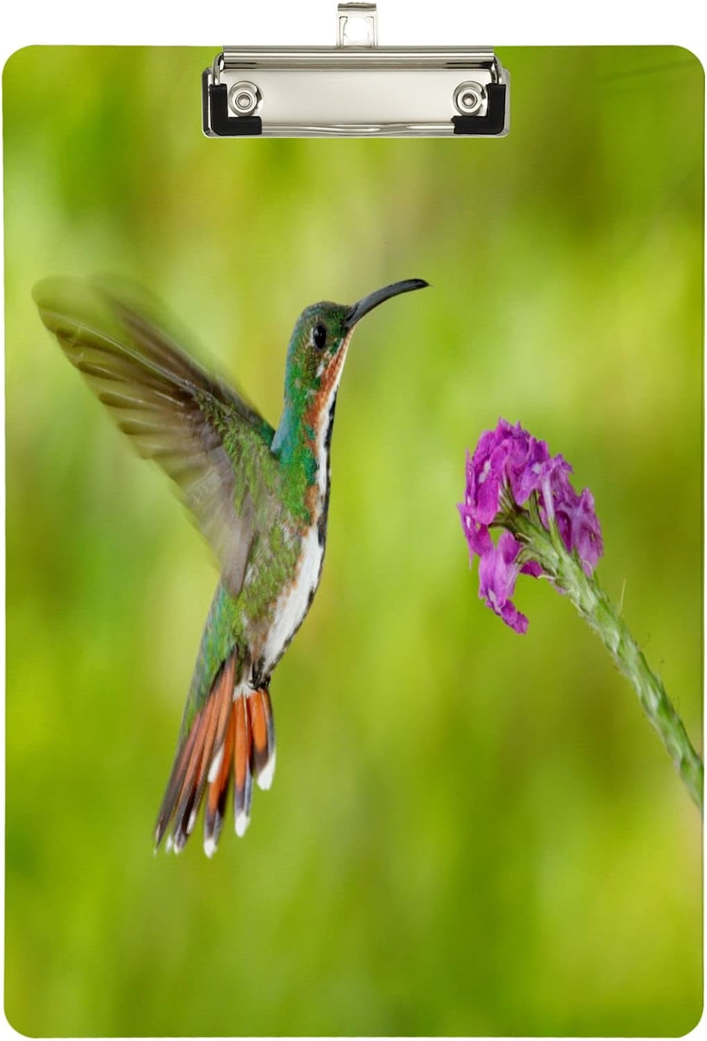 FMSHPON Spring Hummingbird Clipboard Hardboard Wood Nursing Clip Board ...