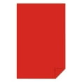 Astrobrights 22553 24 lbs. Bond Weight 11 in. x 17 in. Color Paper - Re ...