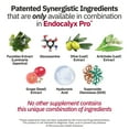 MYBODYRX Endocalyx Pro, Vascular Health Supplement, 120 Capsules ...