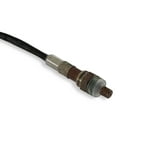 Holley EFI 554-100 Oxygen Sensor - Walmart.com