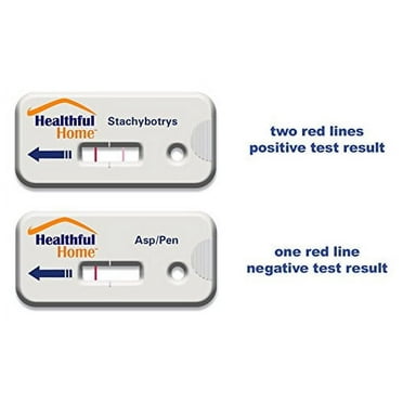 Immunolytics Home Mold Test Kit - Professional Easy to Use 5 Plate Room ...