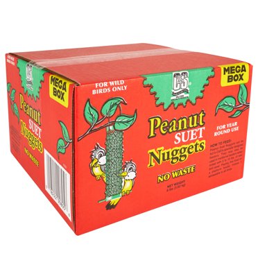 C&S Peanut No-Melt Fresh Suet Dough Nuggets, 8 lb, Wild Bird Food 1 ...