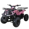 Tao Motor Kids Powered Mini Wheelers - New 125cc Gas All-Terrain ...