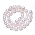 2Strand Natural Cultured Freshwater Pearl Beads Strands Seashell Color ...