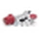 Edelbrock 22765 Max Fire Distributor; Three Wire Hook-Up; Centerless ...