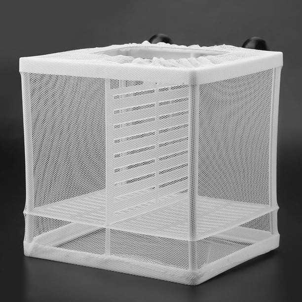 Incubator Breeder Fish Breeder Fish Breeding Net Aquarium Fish Fish ...