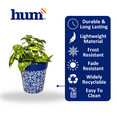 Hum Flowerpots, 3 Plastic, 8.5 inch Plant Pots with 3 Saucers, Multi ...