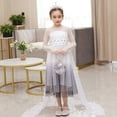 Elsa 2 Dress Up Costume Kids Dress Princess Robe Birthday Party Dress ...