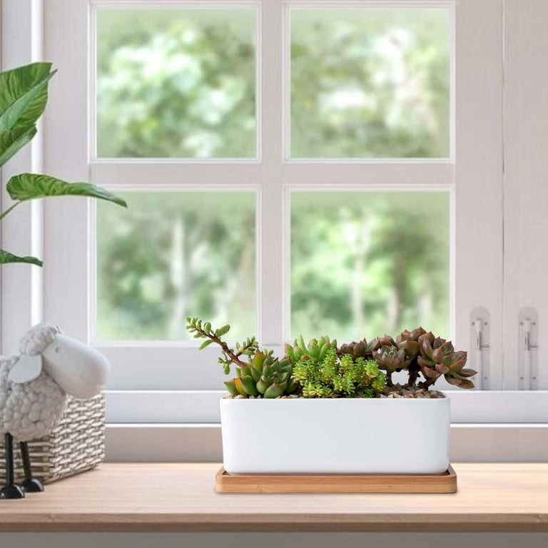 Rectangular White Ceramic Indoor Planter Knox Cylinder Planter Pot.