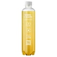 Sparkling Ice Coconut Pineapple Sparkling Water 17 fl. oz. Bottle Package May Vary - Walmart.com