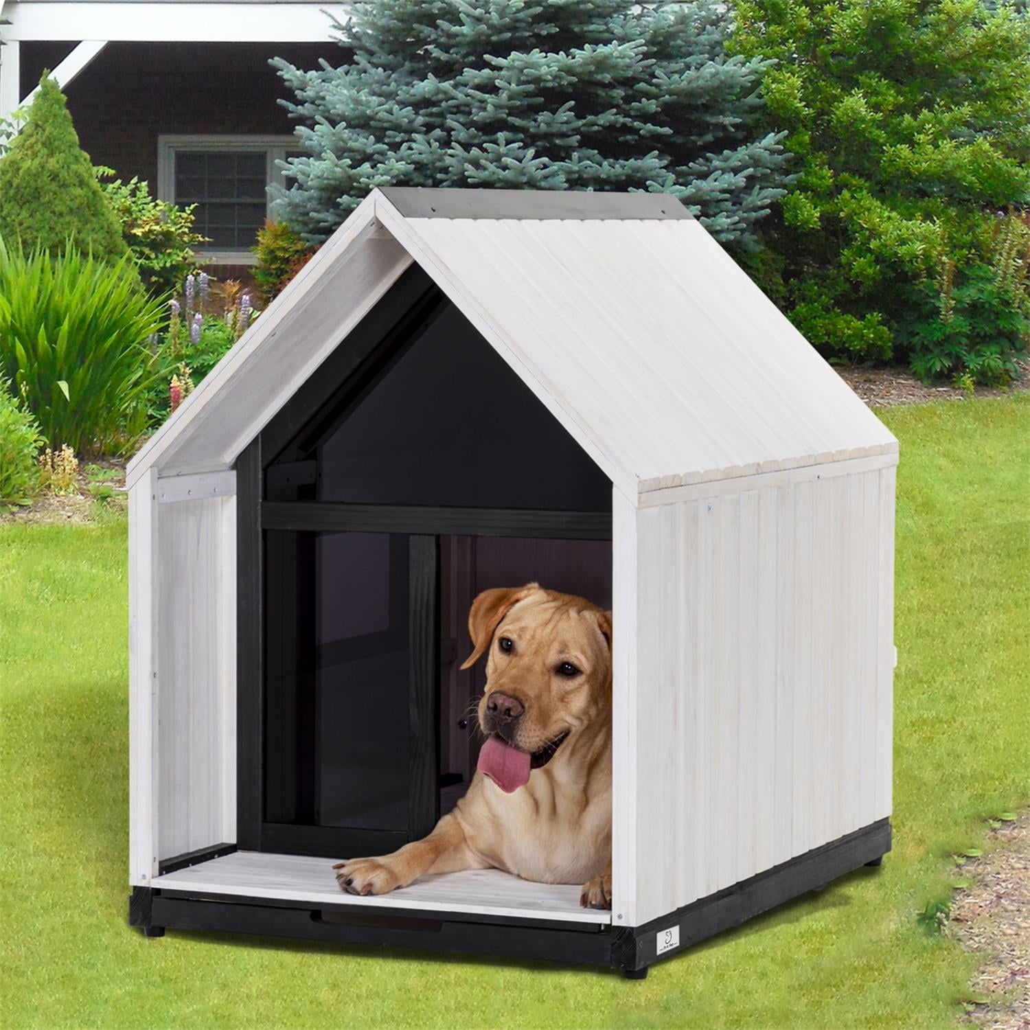 Inside Of Cool Dog Houses