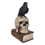 Gothic Crow Perching On Books And Skull With Plucked Eye Decorative ...